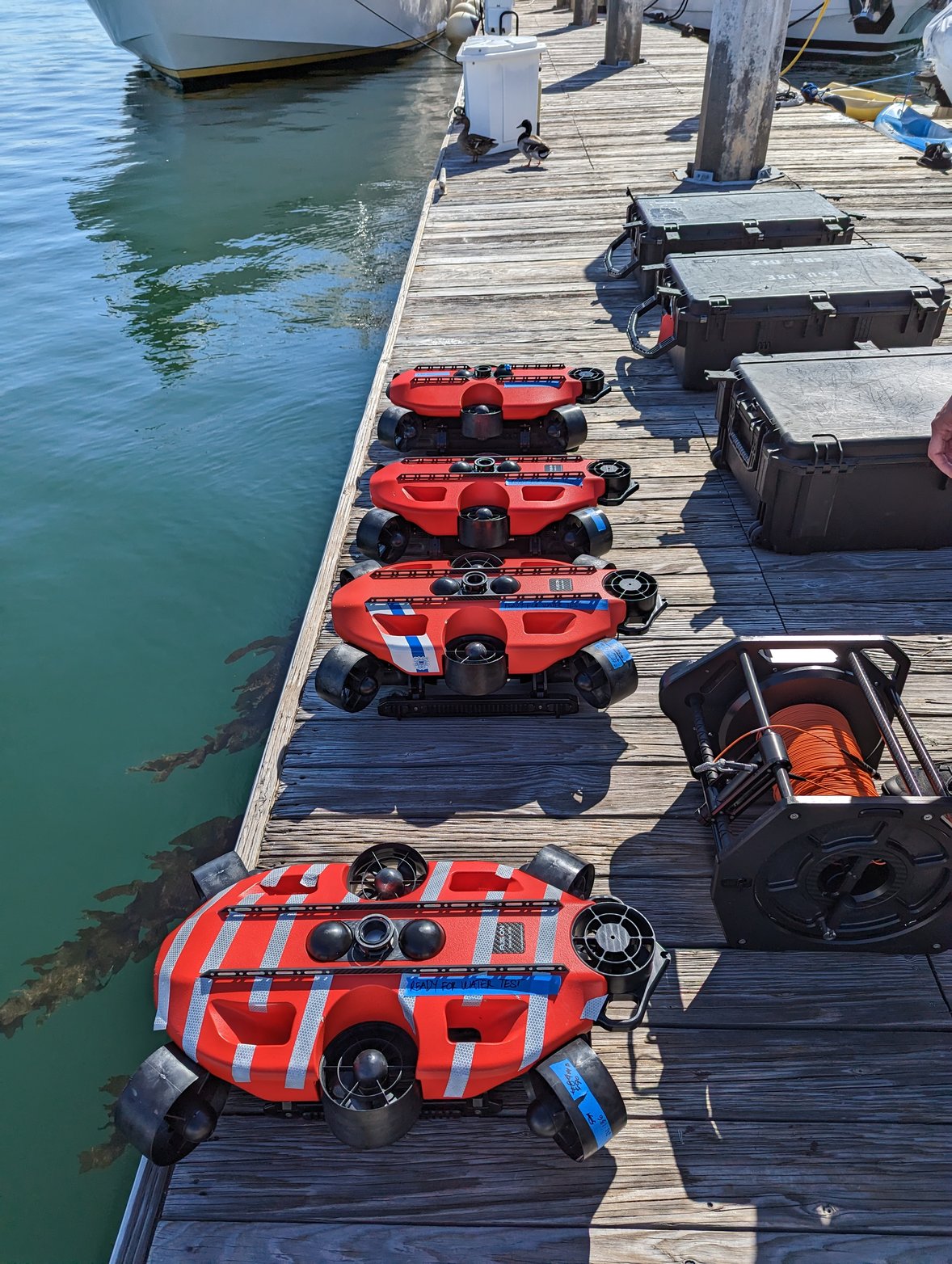 FUSION Border Control & Customs