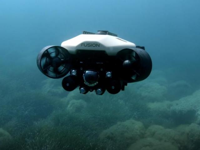 FUSION Underwater Surveillance